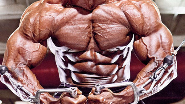 Break This Rule to Build Your Chest - Untapped Supplement