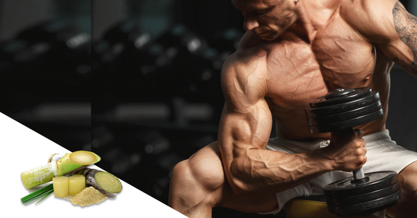 The Alcohol That's GOOD for Muscle - Untapped Supplement